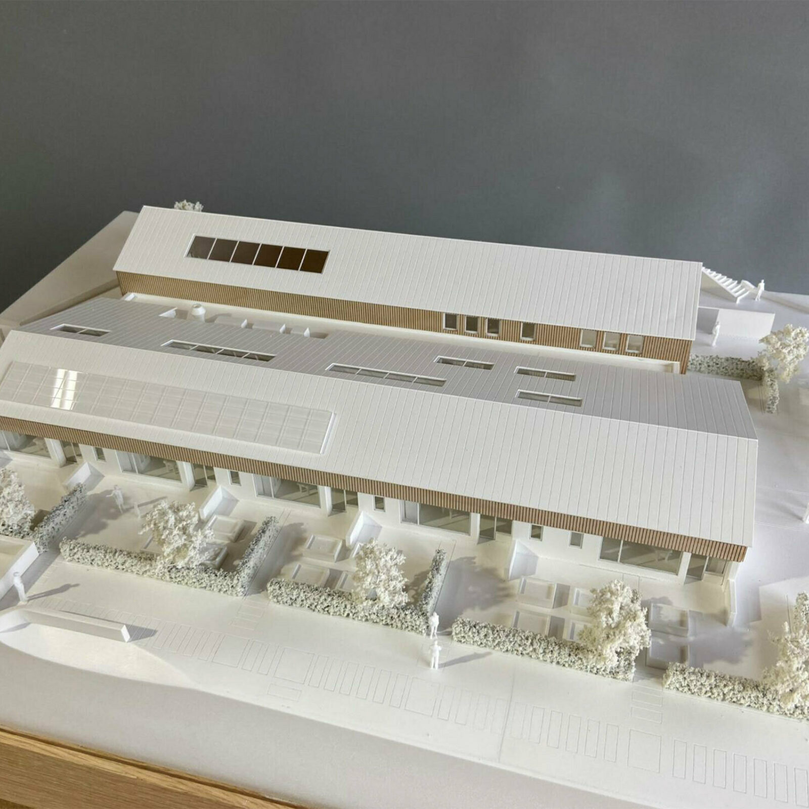 Building our Future | Seamab School
